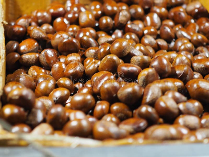 Veteran Brown Hard Shell Fruit Roasted Stock Image - Image of closeup ...