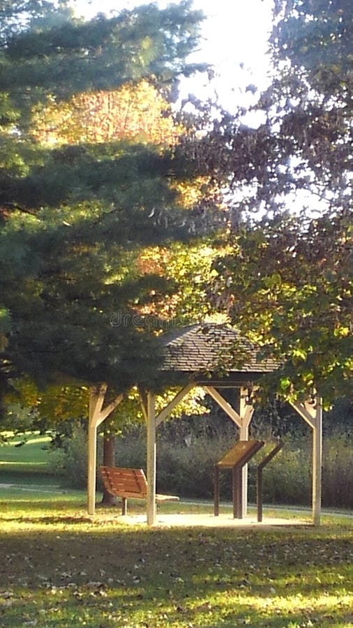 Veterans Memorial Tree Park Stock Photo - Image of park, tree: 165101196