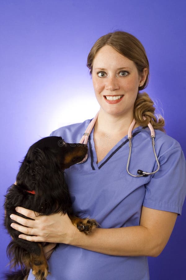 Dog at the Vet stock image. Image of nurse, surgery, checkup - 15957301