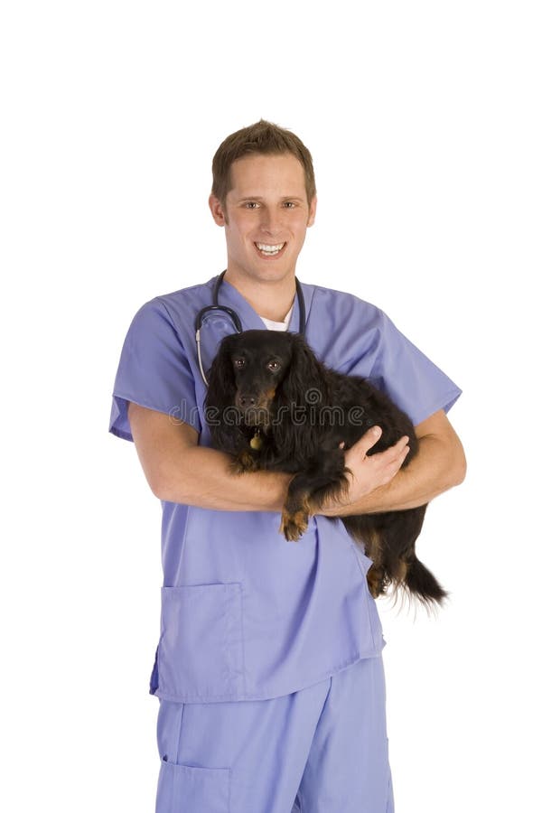 Veterinarian stock image. Image of women, surgeon, examination - 2919999