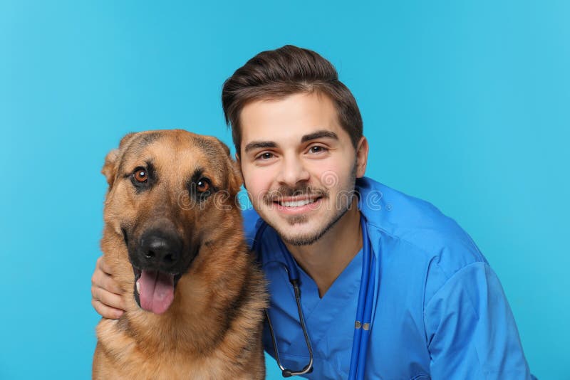 Veterinarian doc with dog stock photo. Image of german - 138072016