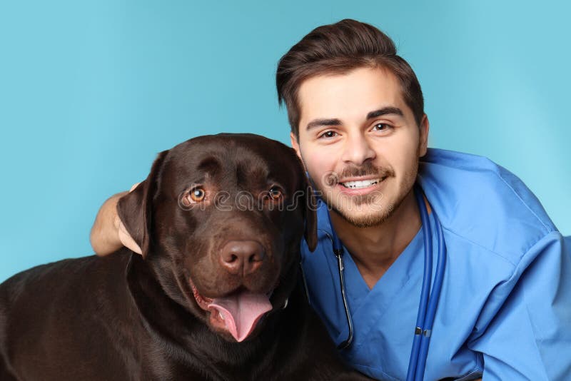 Veterinarian doc with dog stock photo. Image of animal - 138320564