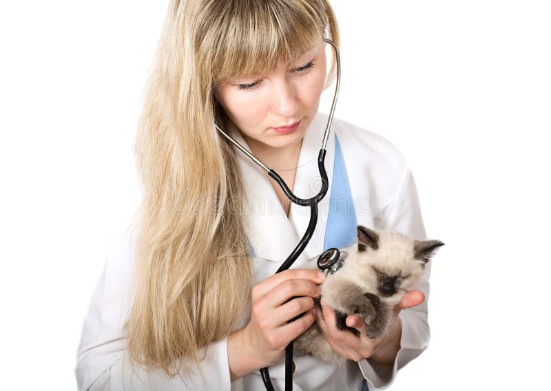 Veterinarian doctor stock image. Image of pets, beautiful - 24560783