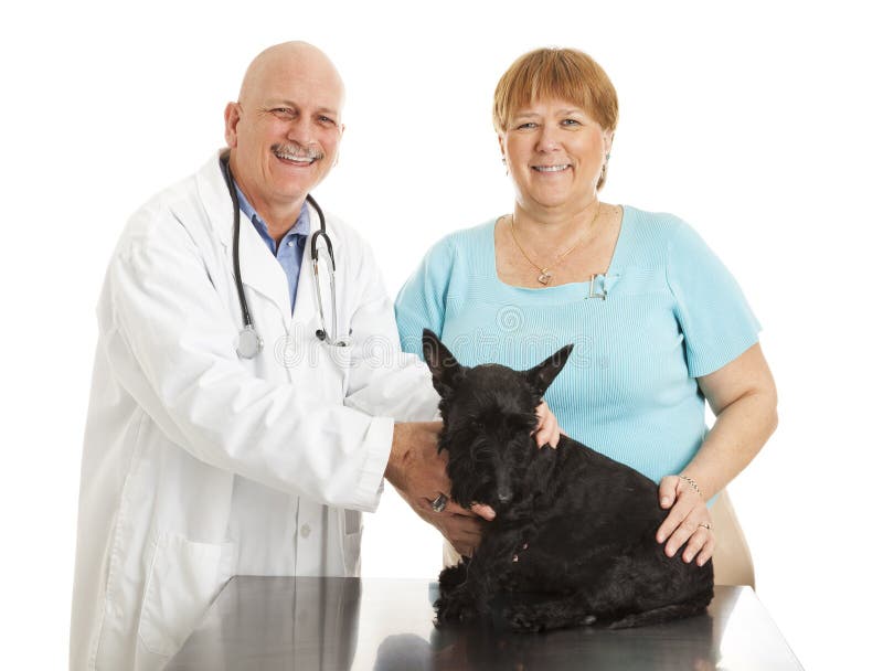 Veterinarian with Happy Client Stock Photo - Image of medical, coat ...