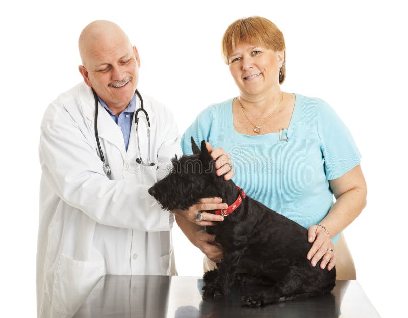 Veterinarian and Happy Dog Owner Stock Image - Image of plus ...