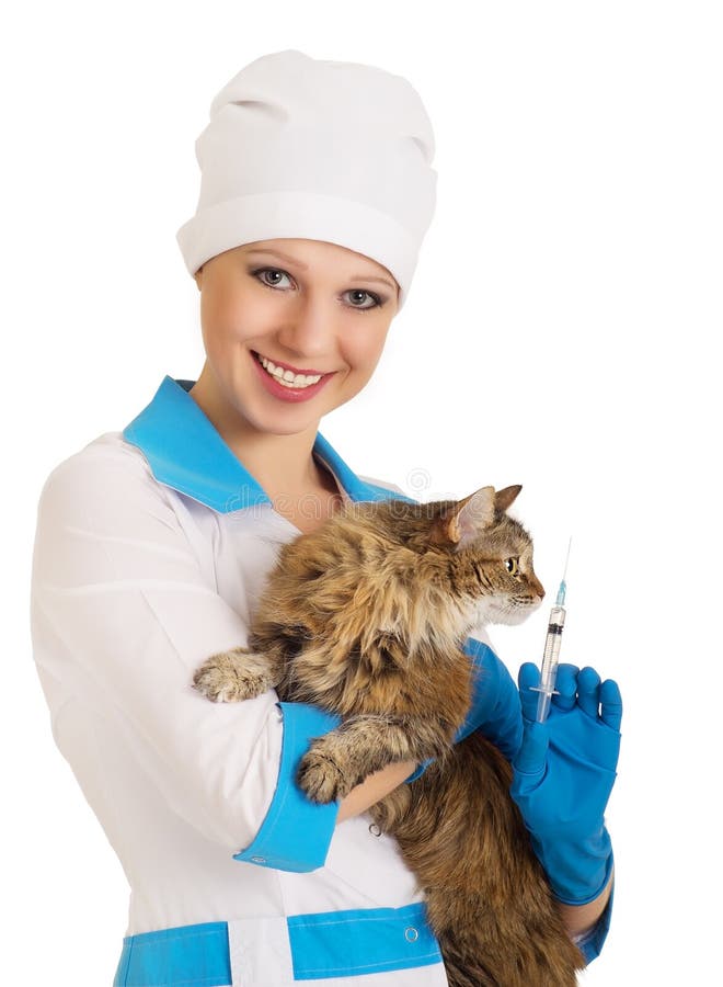 Veterinarian Holding A Cat And A Syringe Picture. Image: 23082364