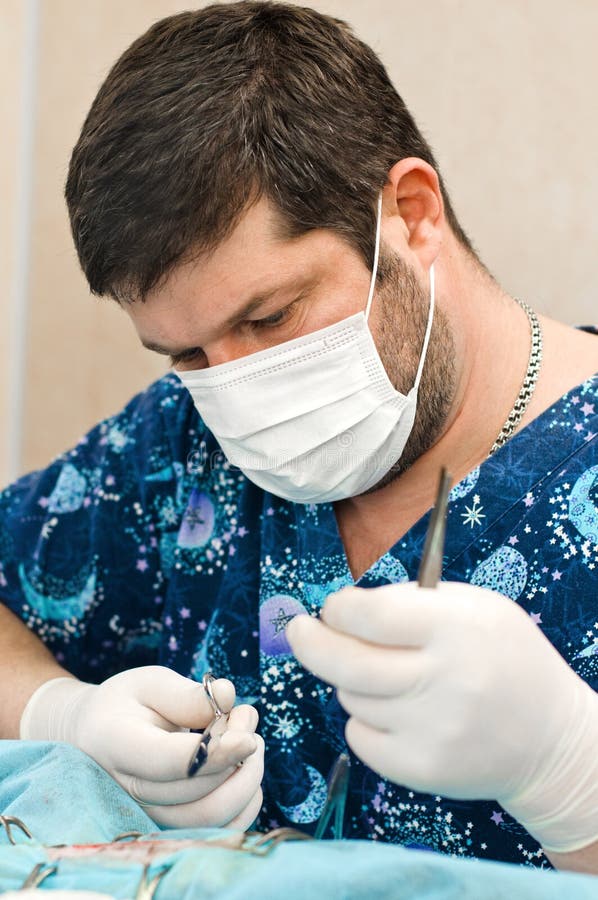 Veterinarian stock photo. Image of care, live, pets, life - 31801726