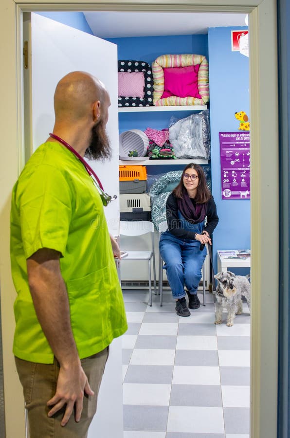 Veterinarian Receiving a Client with Her Pet Stock Photo - Image of ...