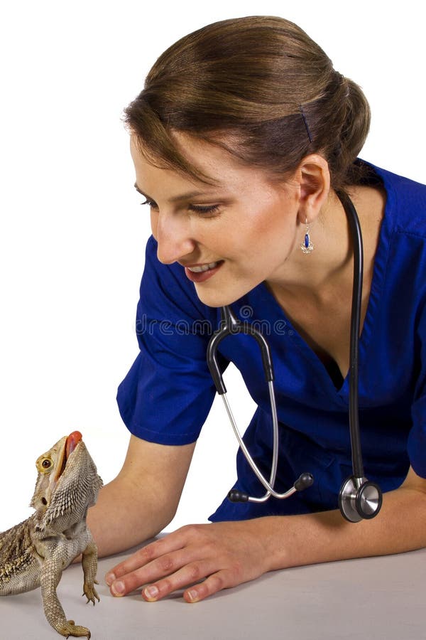 Veterinarian with a Reptile Stock Image - Image of shell, clinic: 26152141