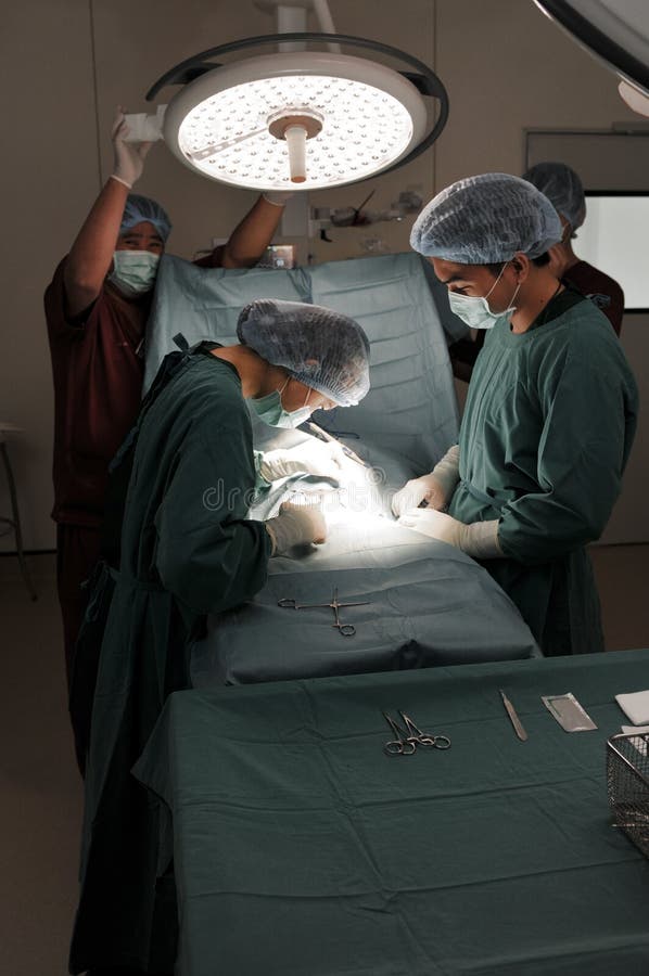 A Veterinarian Surgeon Working in a Small Operating Room with an ...