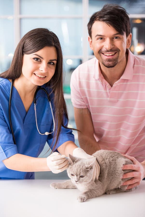 Veterinarian stock image. Image of nurse, owner, client - 49688243