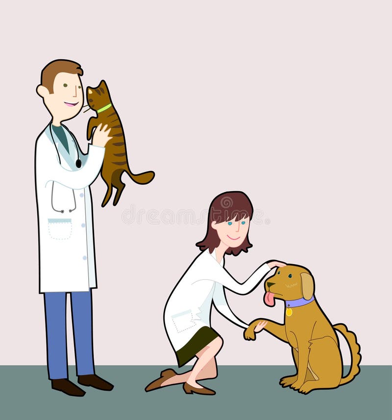 Veterinarian Team Pets stock vector. Illustration of exotic - 76783420