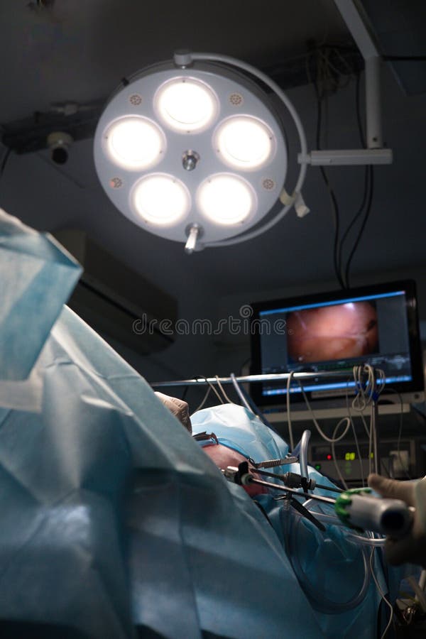 Veterinarians Perform Laparoscopic Surgery on an Animal Patient Under ...