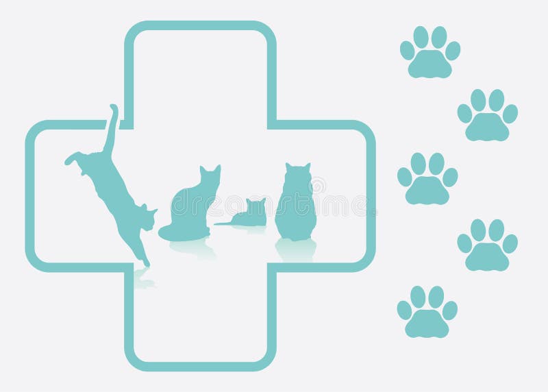 Veterinary Background Stock Photo - Image: 27495910