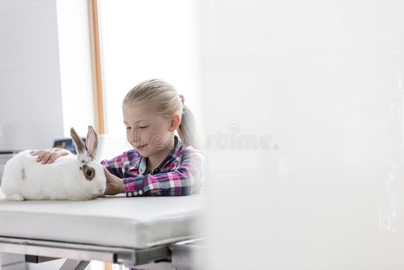 Cute Girl Looking at Rabbit on Bed at Veterinary Clinic Stock Image ...