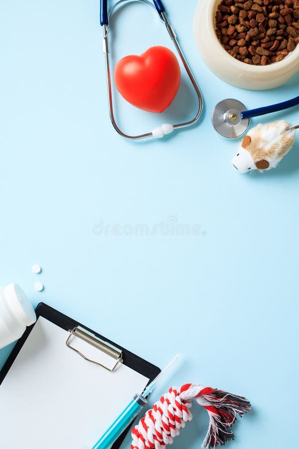 Veterinary Clinic Vertical Background with Tools and Pet Toys Stock ...