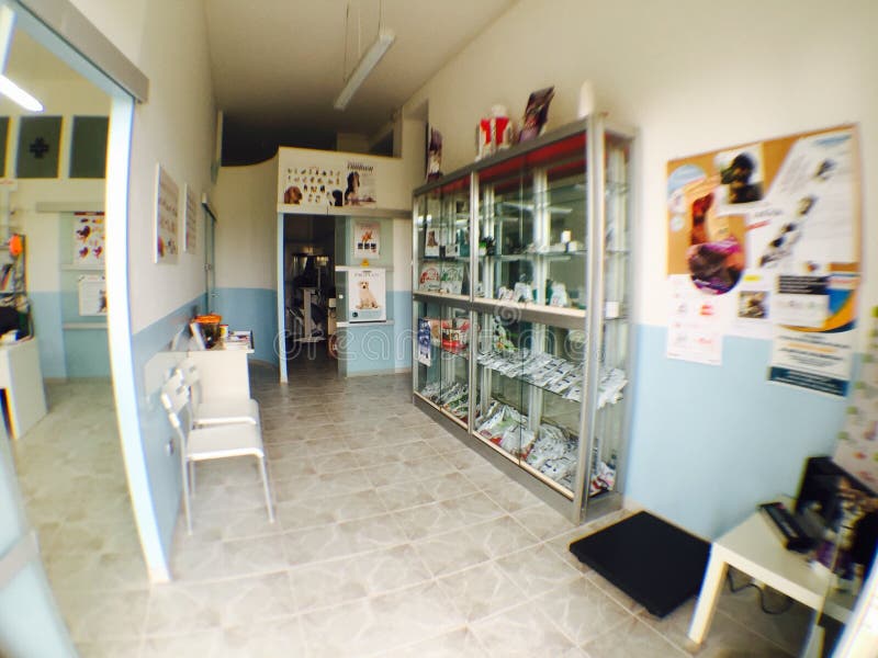 Veterinary clinic editorial stock photo. Image of veterinary - 70547828