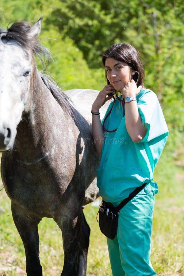 Veterinary on a farm stock image. Image of medical, care - 60657985