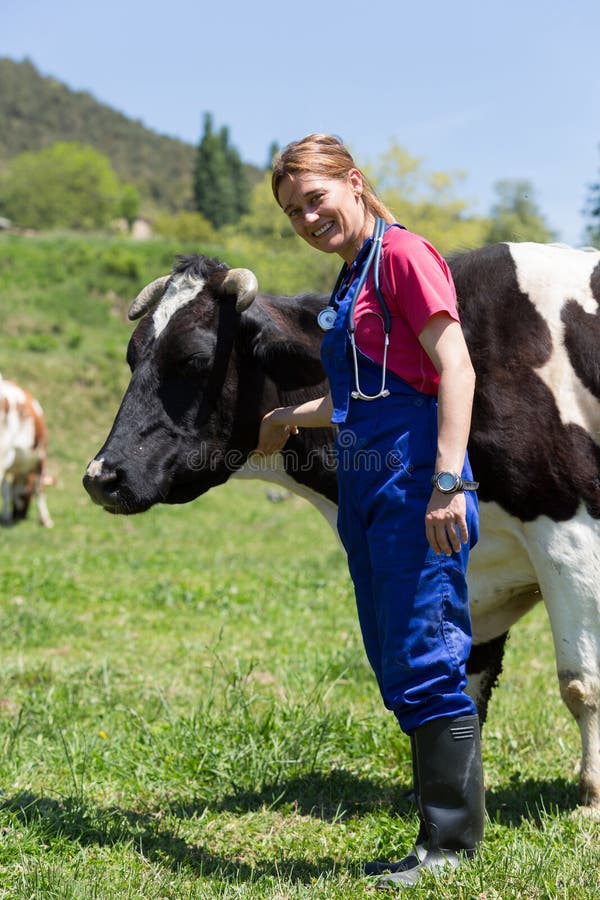 Veterinary on a farm stock image. Image of checking, monkey - 53978007