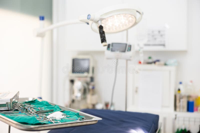 Veterinary Operating Room with Sterile Instruments, Surgical Table and ...