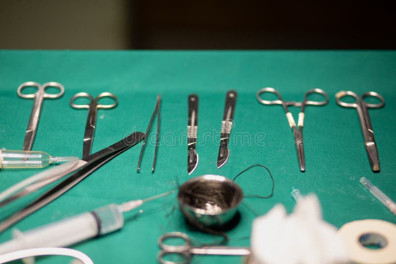 Veterinary Prepareing the Surgical Instruments in Operating Room Stock ...