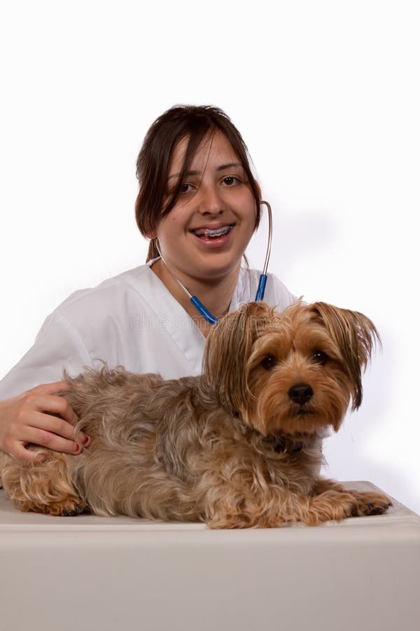 Veterinary Student stock photo. Image of woman, friendly - 10131126