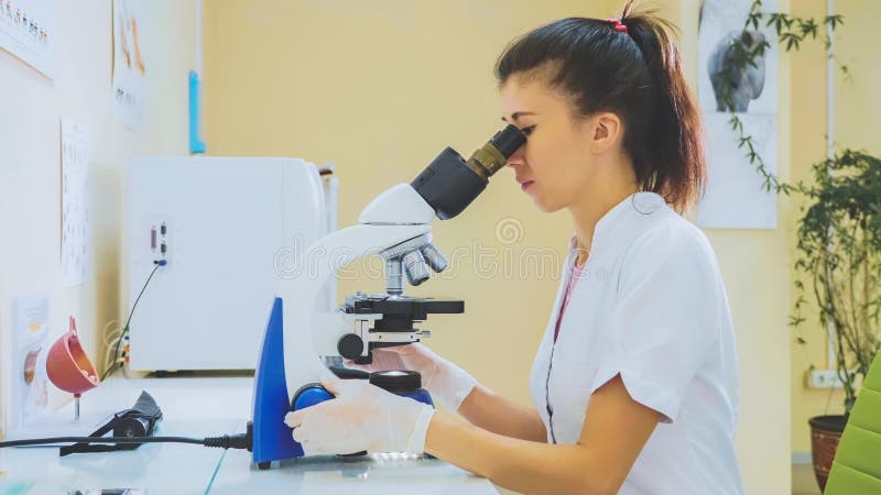 Veterinary Worker Using Microscope for Testing Blood Samples of Animals ...
