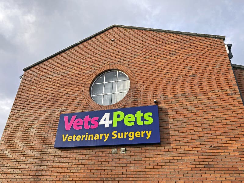 Vets4pets Surgery Stock Photos - Free & Royalty-Free Stock Photos from ...