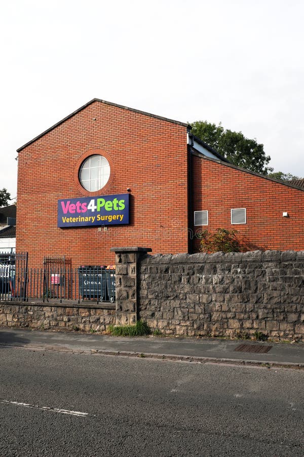 Vets4Pets editorial image. Image of animal, north, mare - 231836440