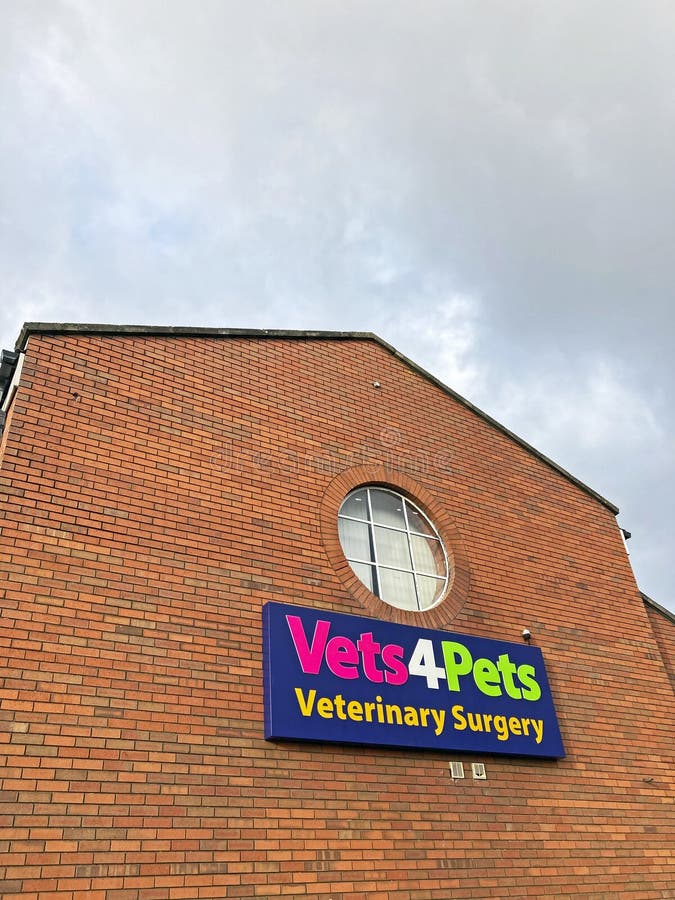 Vets4pets Surgery Stock Photos - Free & Royalty-Free Stock Photos from ...