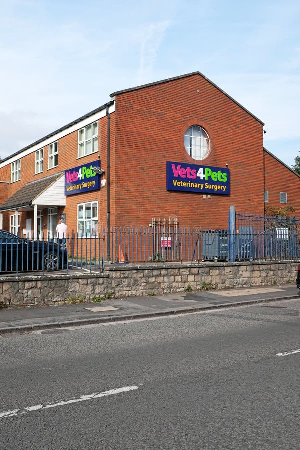 Vets4Pets editorial stock photo. Image of kingdom, britain - 231836448