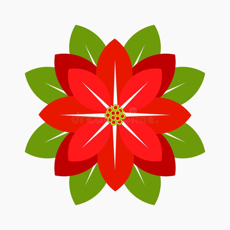 Vettore Del Fiore Della Stella Di Natale Illustrazione Vettoriale ...