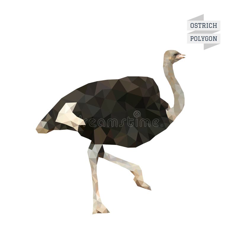 Vettore Del Poligono Dello Struzzo Illustrazione Vettoriale ...