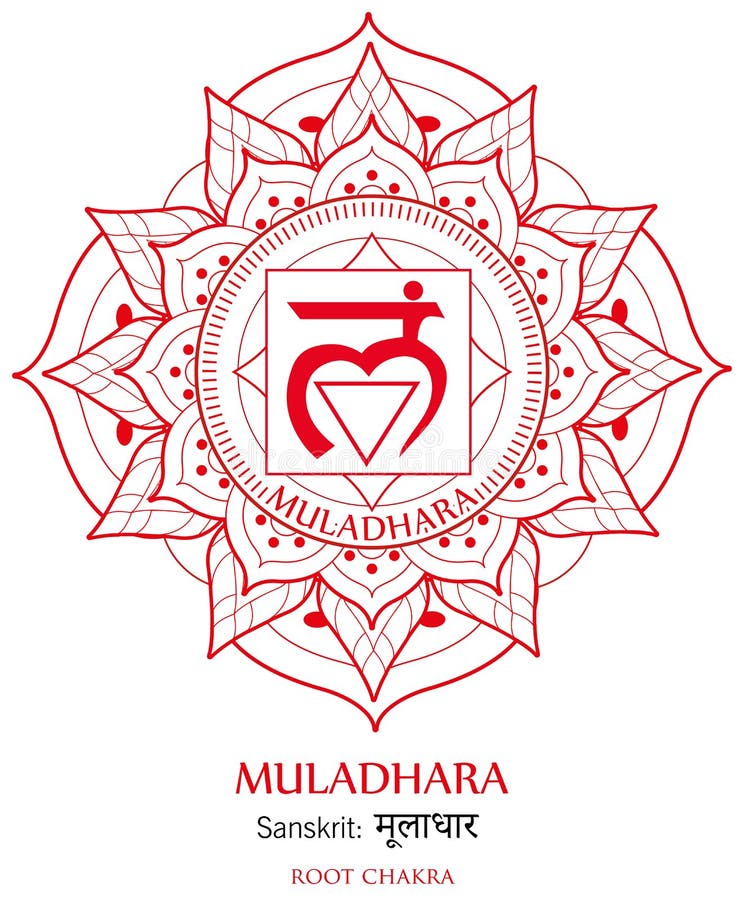Muladhara - Chakra Della Radice Il Simbolo Del Primo Chakra Vettore ...