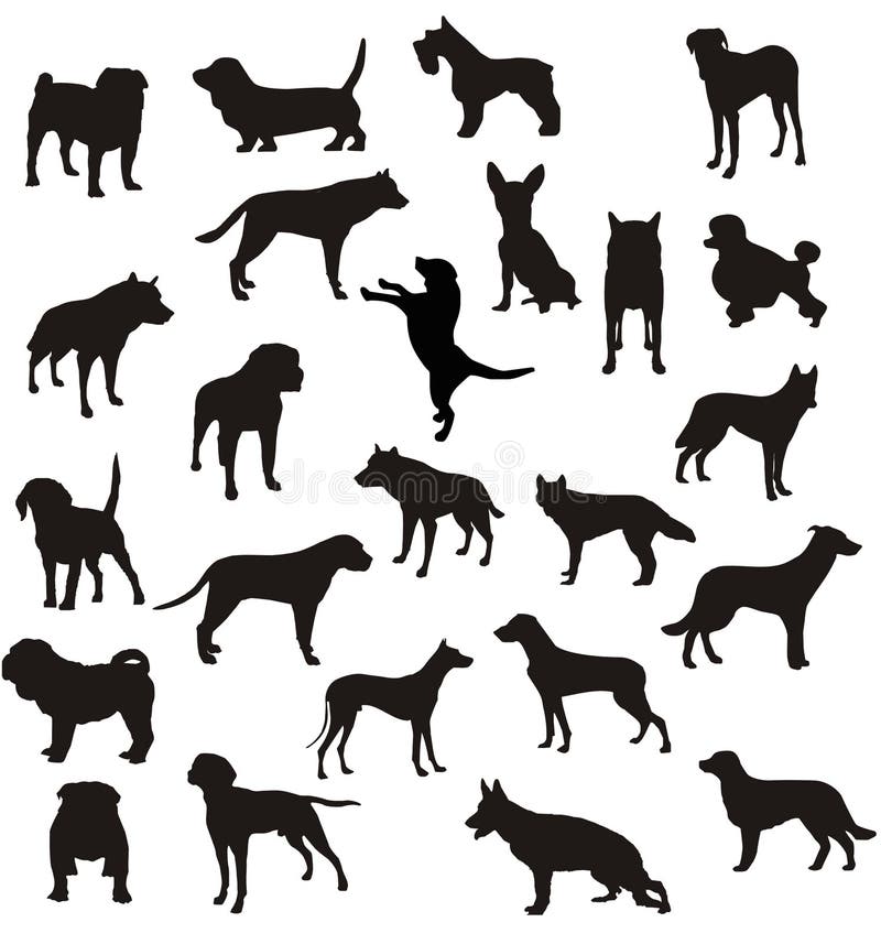 Vettore di figure dei cani illustrazione vettoriale. Illustrazione di ...
