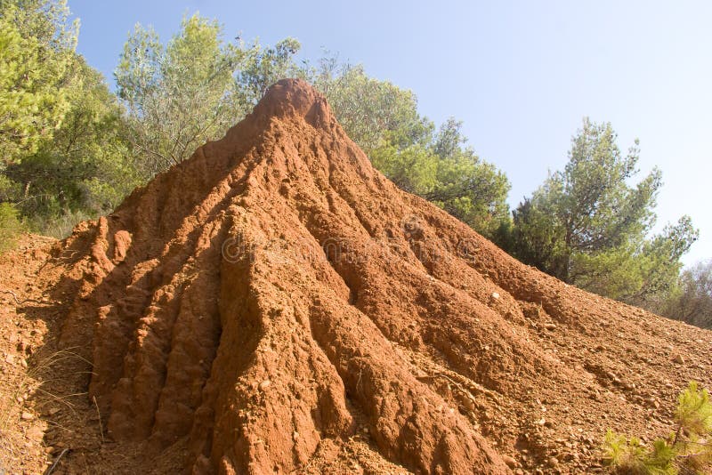 Big anthill stock image. Image of insect, argil, anthill - 99113883