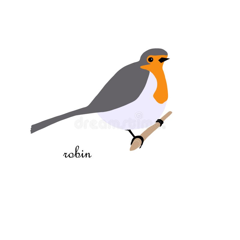 Cute Robin Bird Vector Color Characters Set. Sketch Robin in Pastel ...