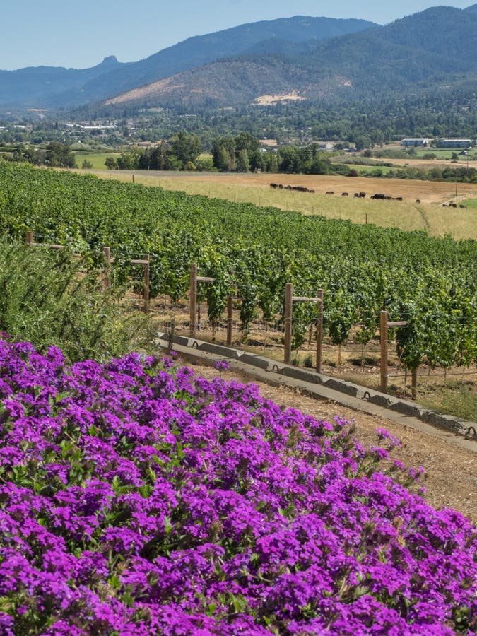 52,869 Zona Rural Fotos de stock - Fotos libres de regalías de Dreamstime