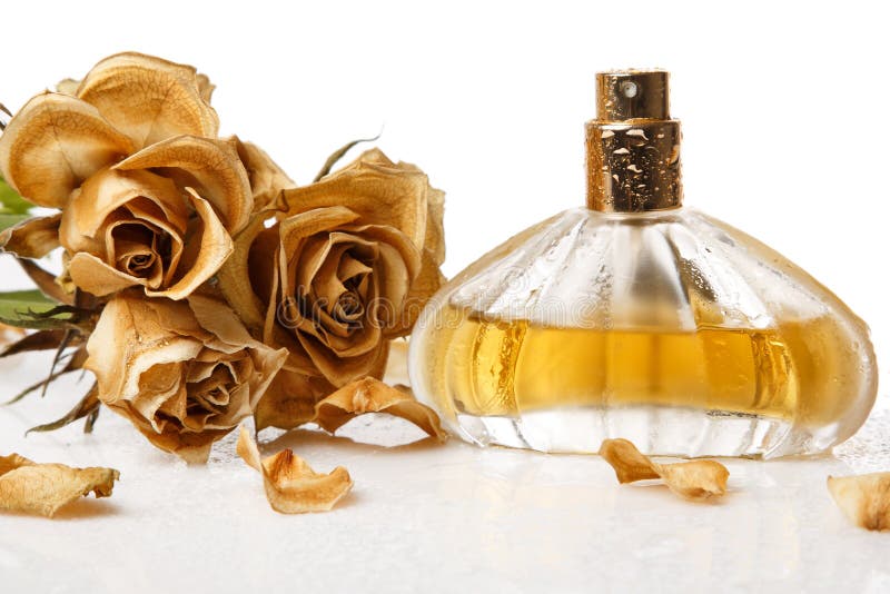 Vial of Perfume and Dry Rose Flower Stock Image - Image of garden ...