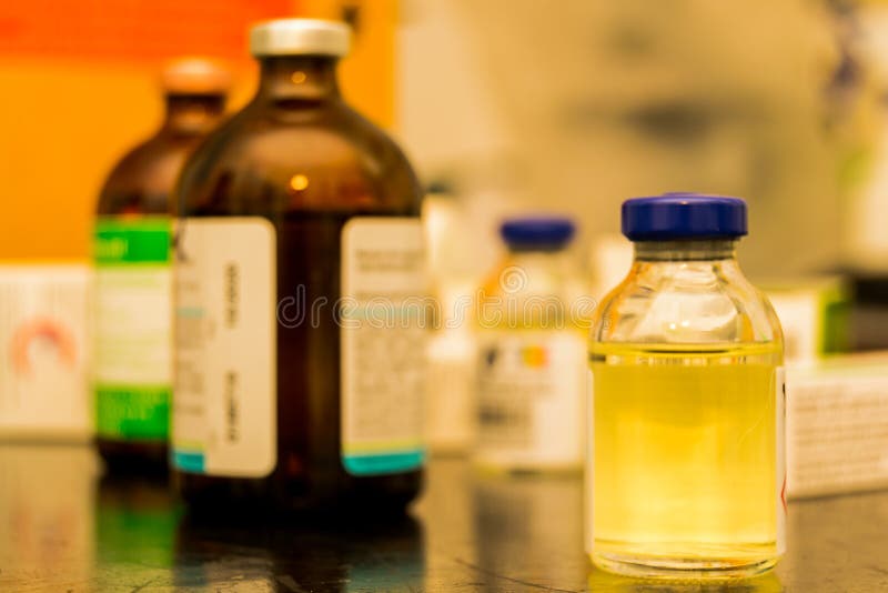 Vials with Drugs at the Veterinary Clinic Stock Photo - Image of ...