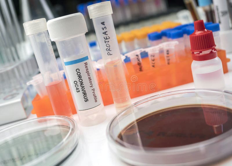 Protein Protease Peptidase Digestion Acid Peptide Enzymes Stock Photos ...