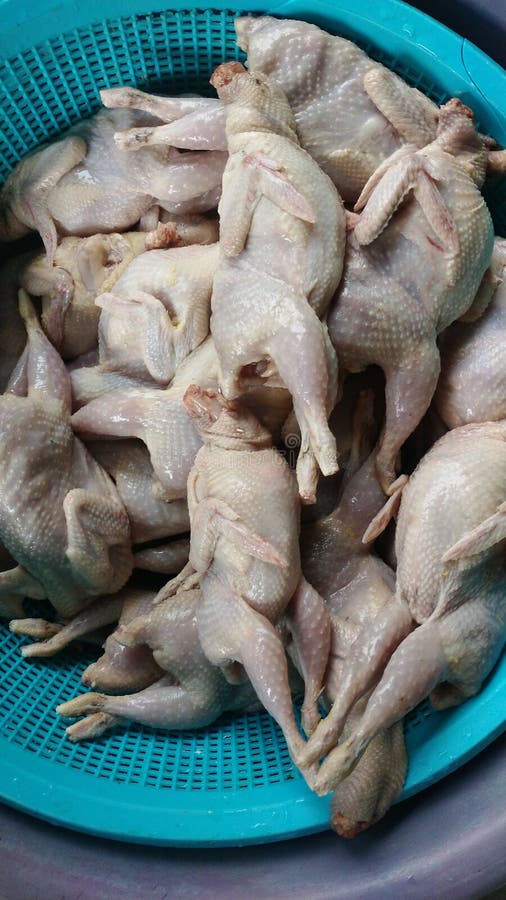 Viande De Caille Japonaise Coturnix Image stock - Image du seafood ...