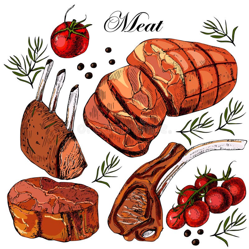 Viande de dessin de main illustration de vecteur. Illustration du ...