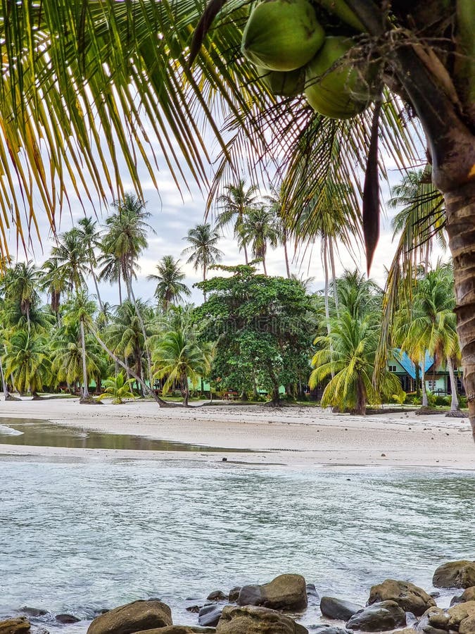 Vibes, Beach, Ocean, Relax, Thailand, Asia Stock Photo - Image of coast ...