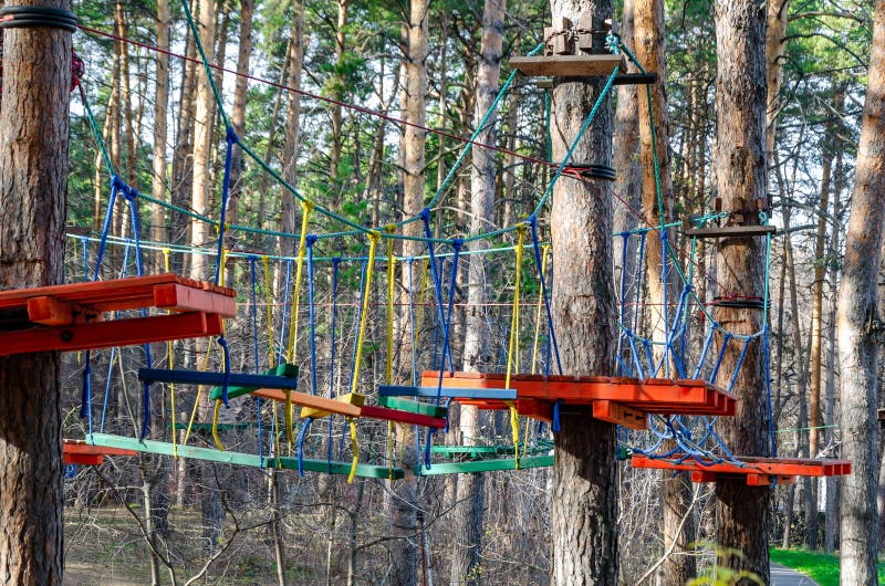 Vibrant Adventure Course Forest Setting Rope Park Stock Photos - Free ...