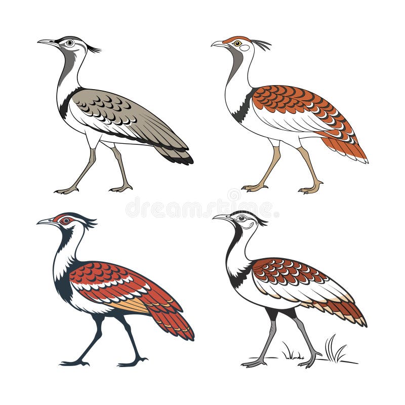 Vibrant Arabian Bustard Bird Detailed Illustration Stock Vector ...