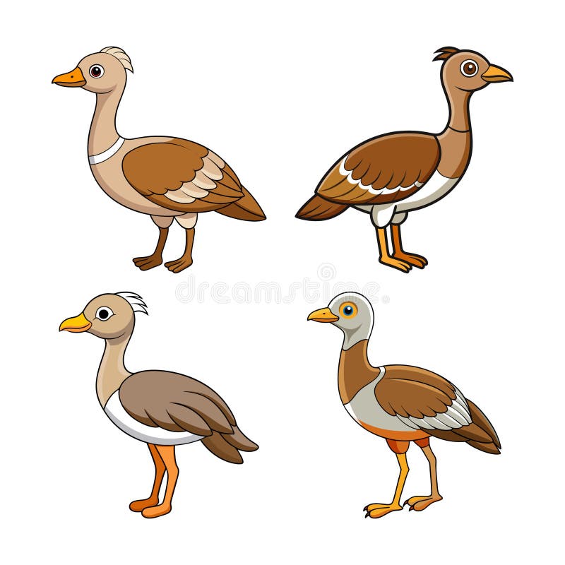 Vibrant Arabian Bustard Bird Detailed Illustration Stock Vector ...