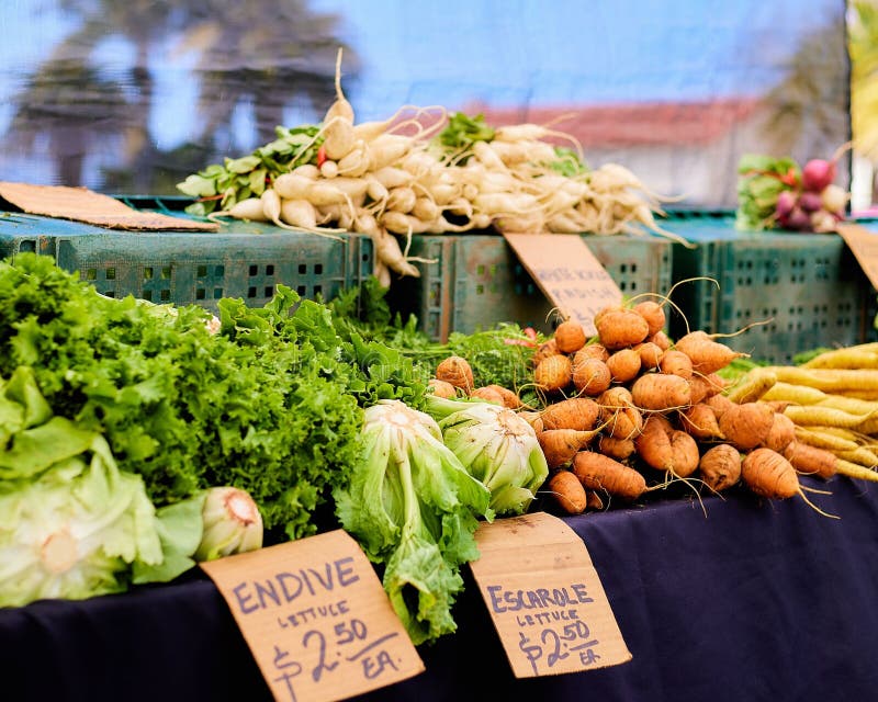 Vibrant Array of Fresh Vegetables on Display at a Local Farmer S Market ...