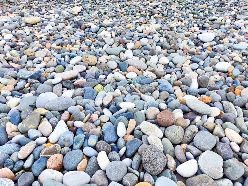 Colorful Pebbles Scattered Across a Beach Shoreline during Daylight ...