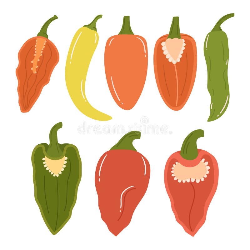 Vibrant Array of Peppers Sorted in a Collection, Boasting a Spectrum of ...